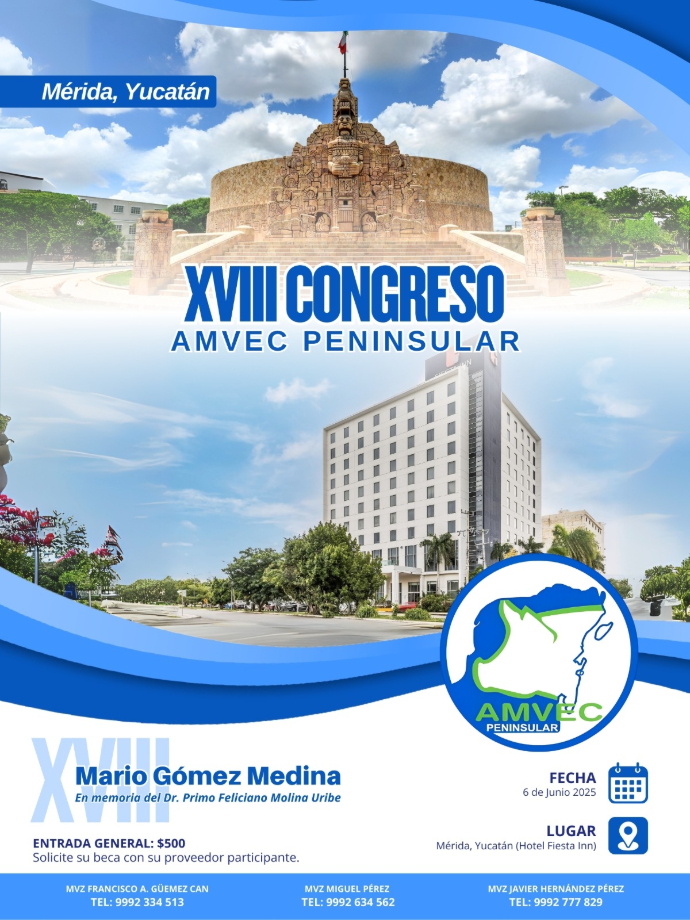 Home | Website AMVECAJ